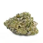 Buy Blue Coma Strain (AAAA) Online At BudLyft